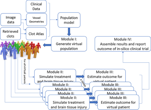 In-Silico Trials for Treatment of Acute Ischemic Stroke | Computational ...